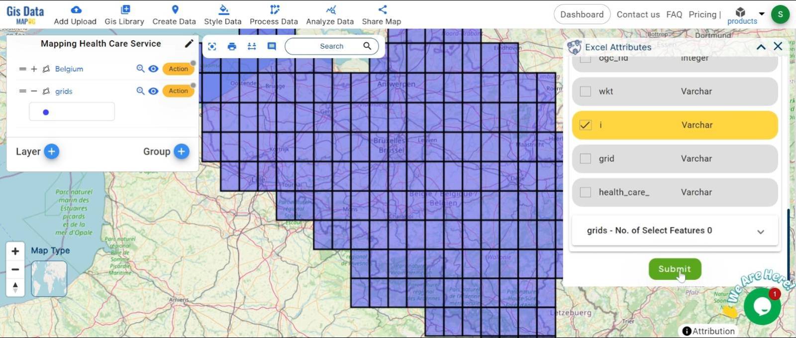 How to Use GIS Grid Tools for Mapping Healthcare Services and Improving ...